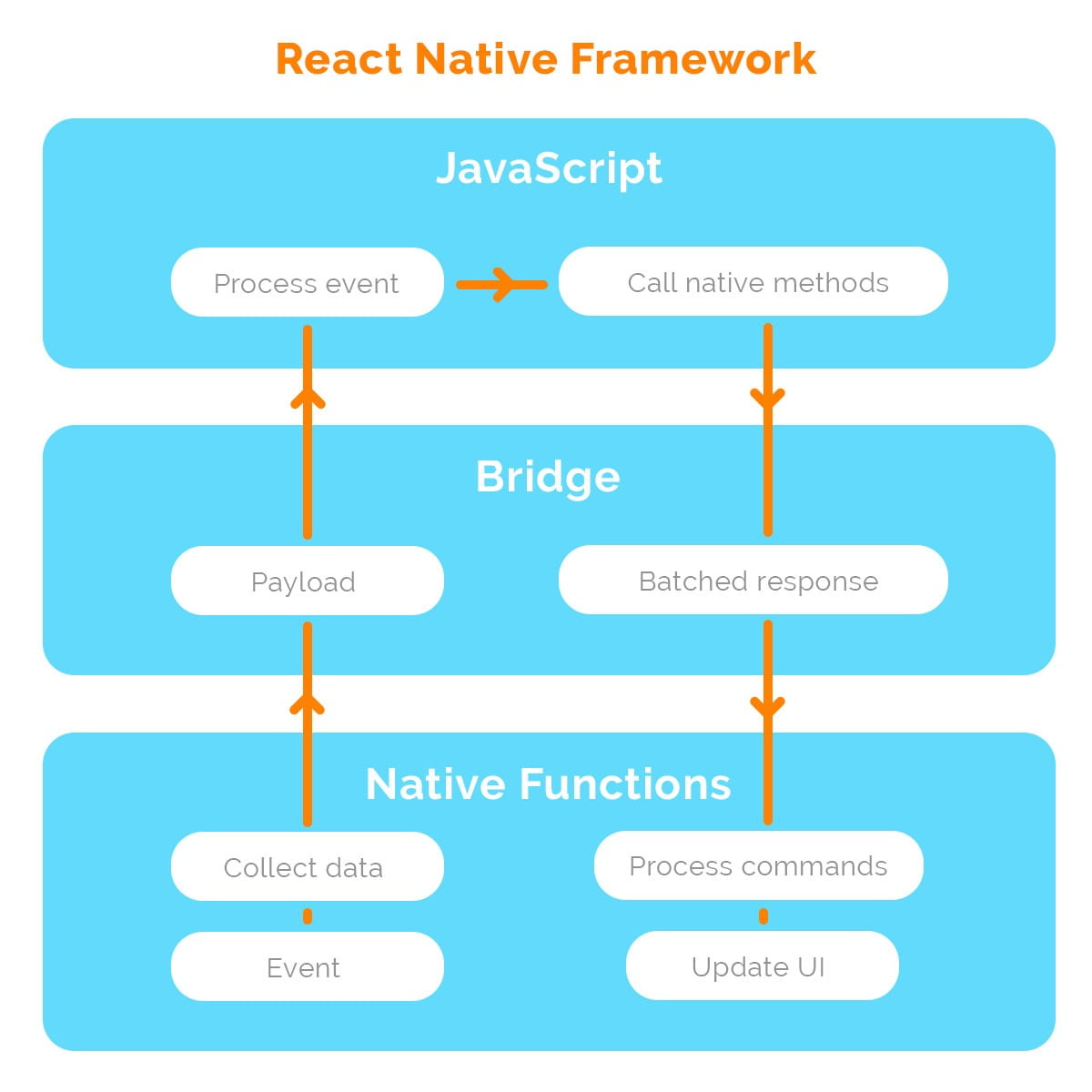 Custom React Native App Development Services | Zco Corporation